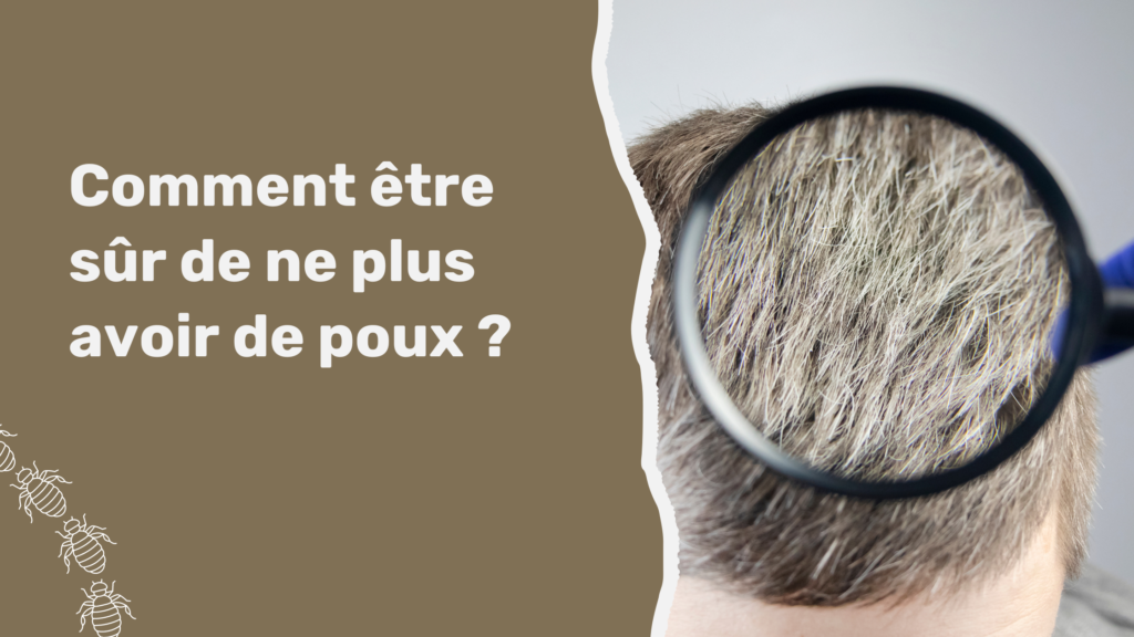 Comment être sûr de ne plus avoir de poux ? | Royal Poux
